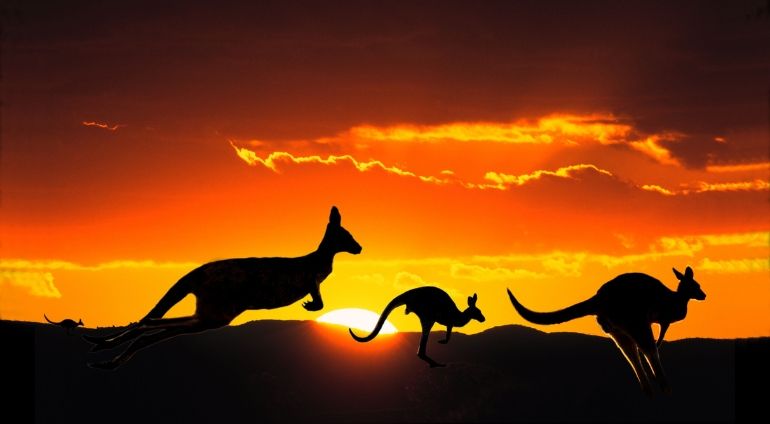 Discovering Australia’s Outback