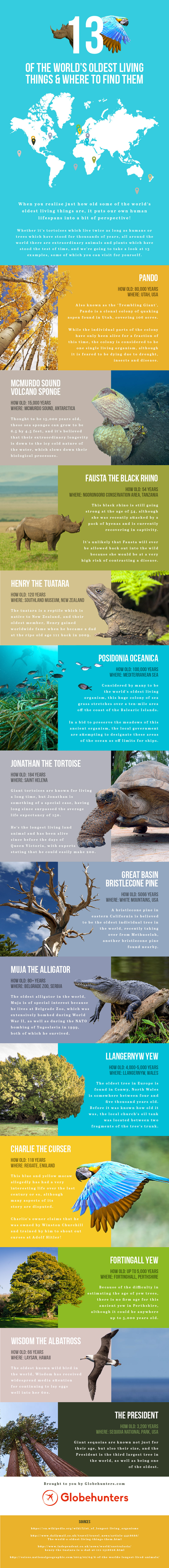 13 Of The World’s Oldest Living Things & Where To Find Them